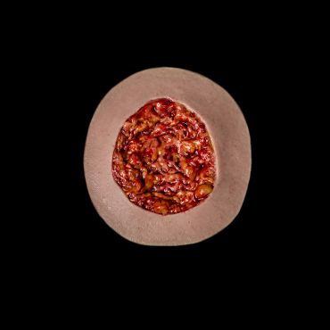 WD12 - Bullet Wounds Exit - MFX Warehouse